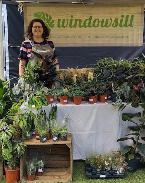 Enjoy your Houseplants Archives - Windowsill Plants